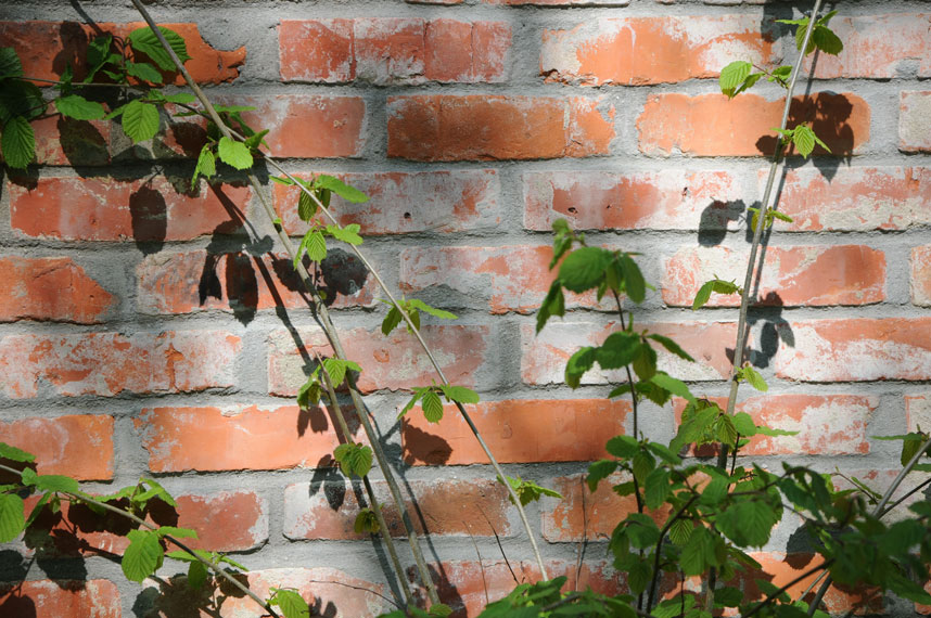 Used demolition clay bricks for outside - European Clay Bricks
