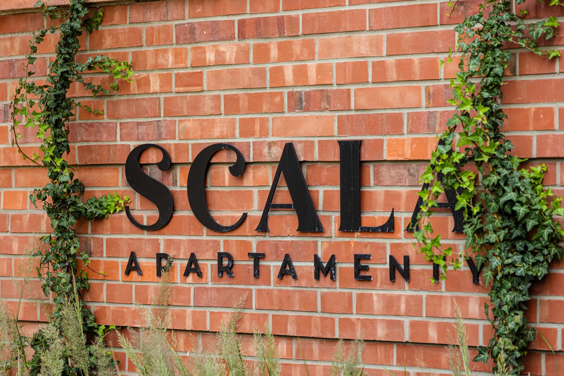 European clay bricks - European Clay Bricks