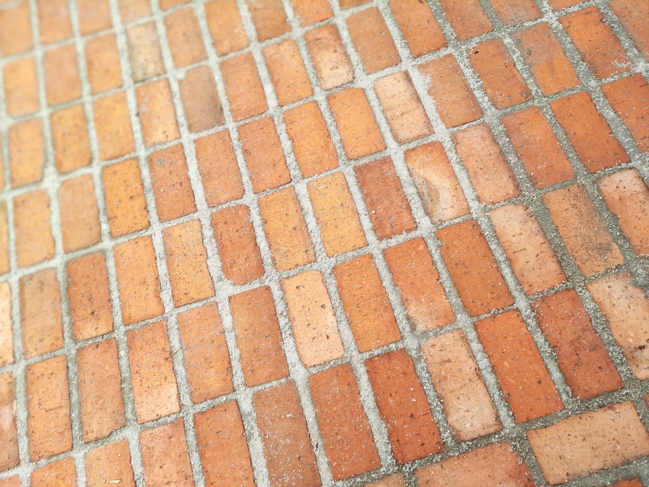 Common solid brick as paving brick - European Clay Bricks